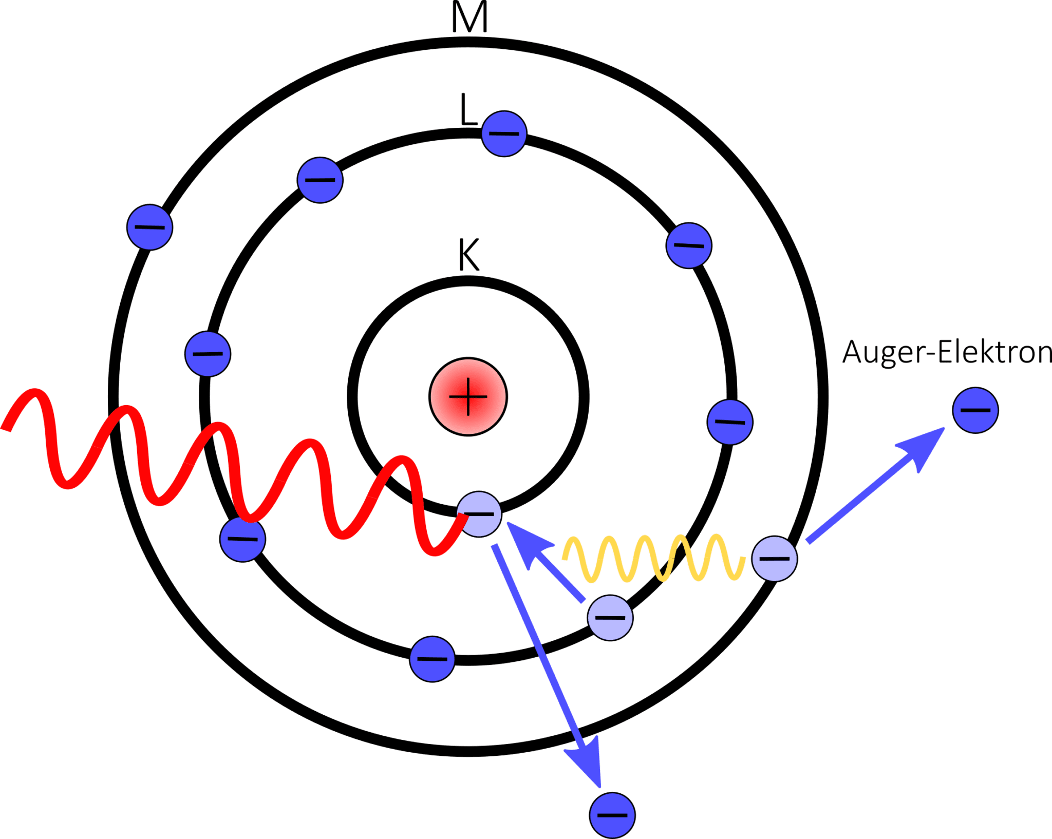 Physikalische Grundlagen · Medizinische Physik